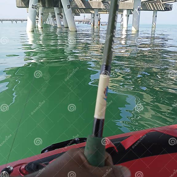 Fishing below brigte stock image. Image of sail, sailing - 247098045