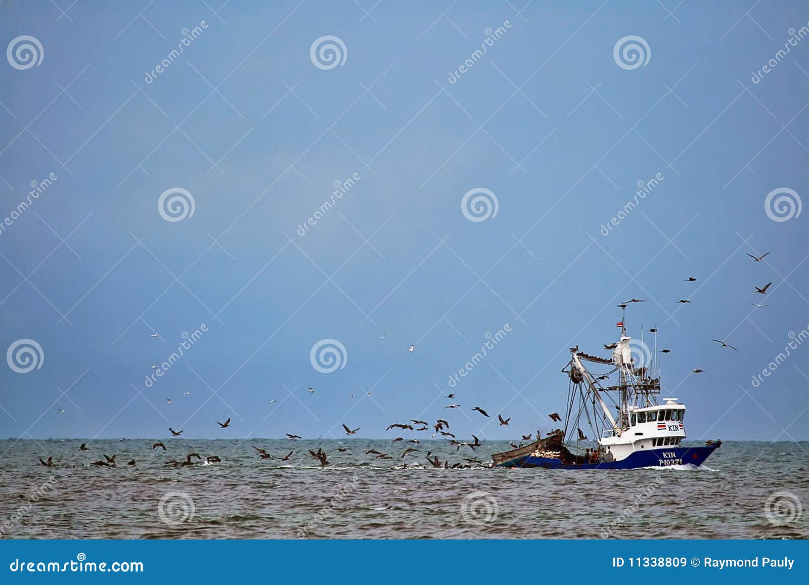 Fishing Boat with Birds stock image. Image of marine - 11338809