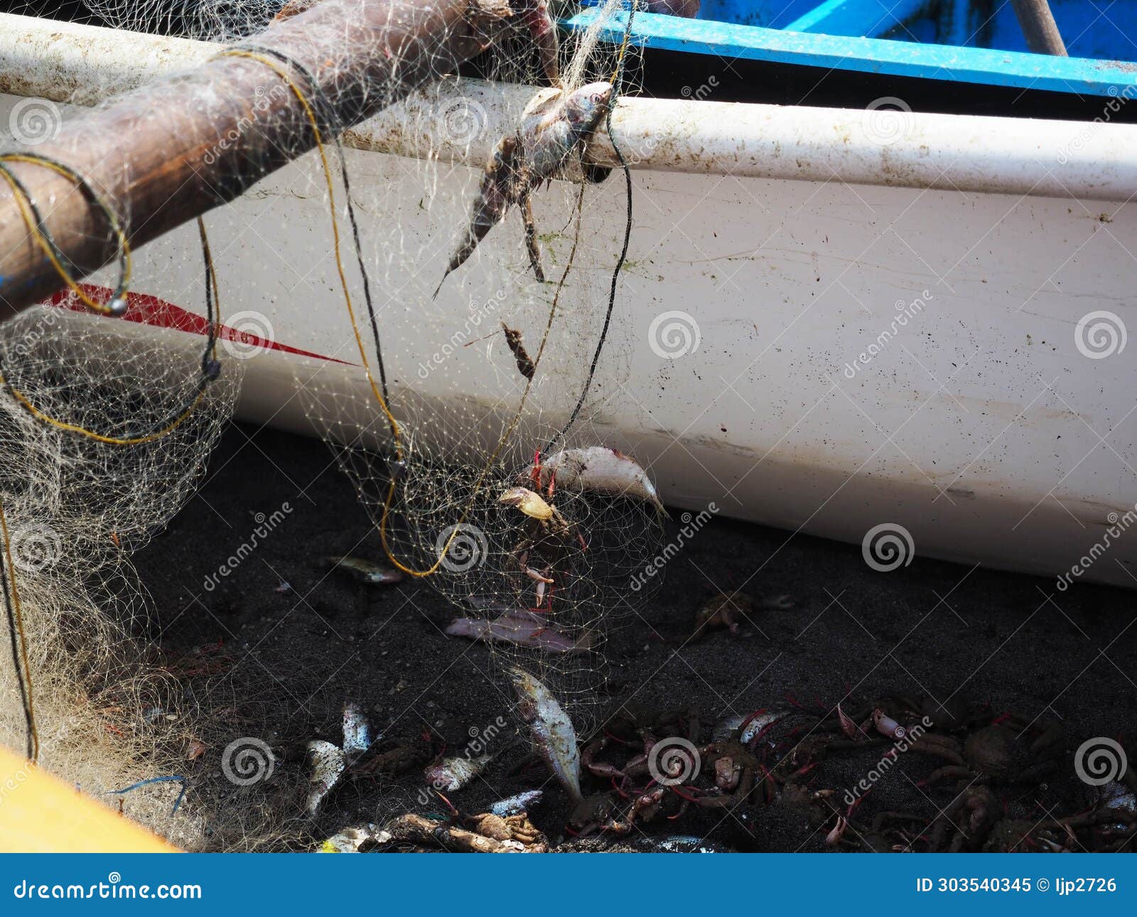 Fishing Boat with Catch of Crayfish and Prawns Stock Image - Image of ...