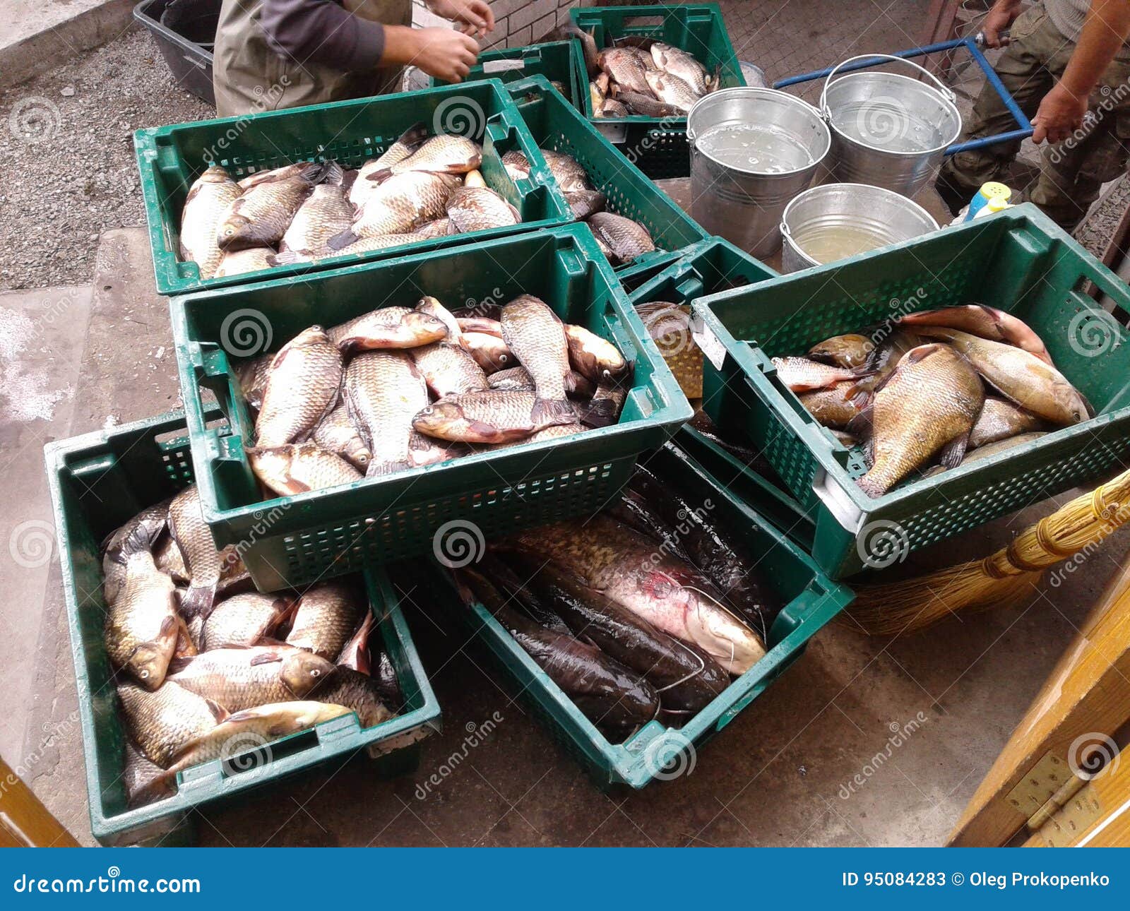 Fishing on a Boat the River Landscape Stock Image - Image of lake ...