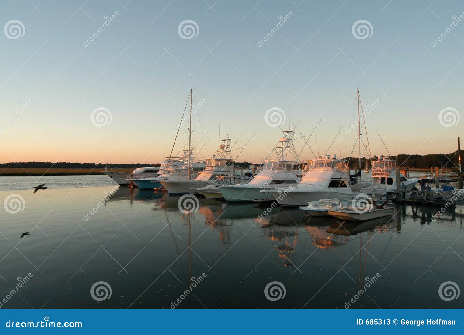 Fishing Boats at Dock at Sunset with Seagull Flying by Stock Image ...