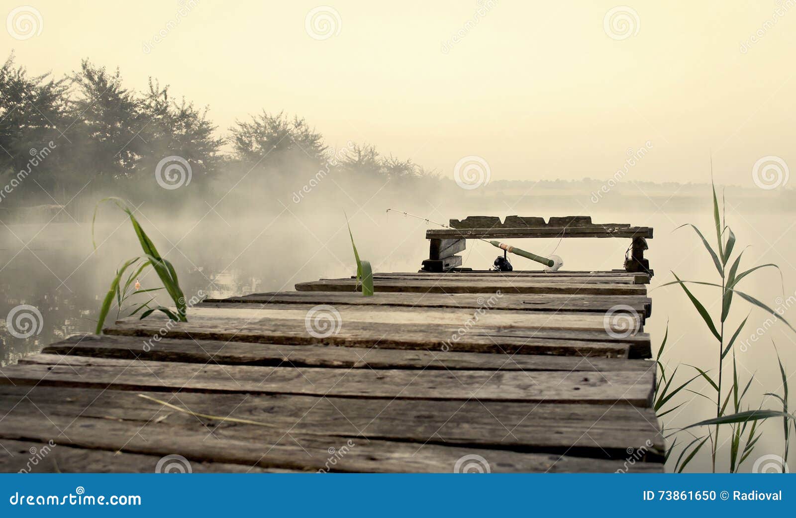 Bridge In The Morning Mist, Shimmering Leaves, Vibrant River Water ...