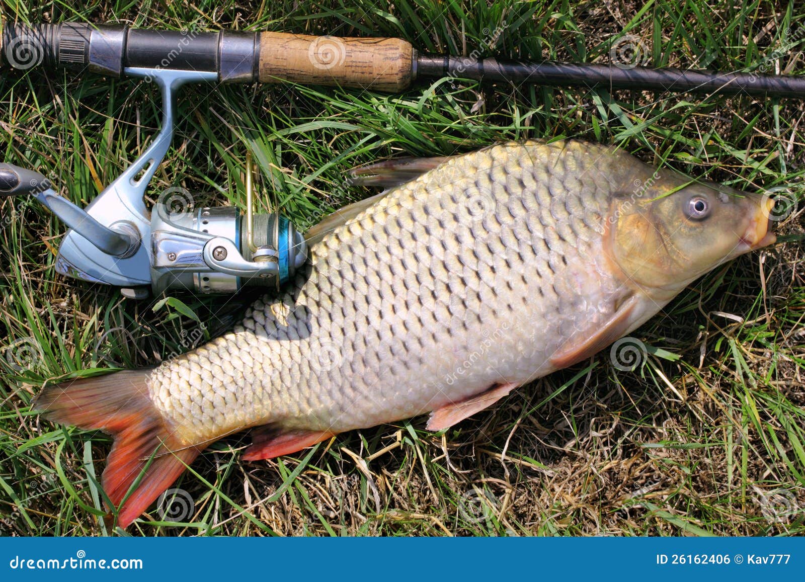 Fishing Catch Stock Photo | CartoonDealer.com #22532214