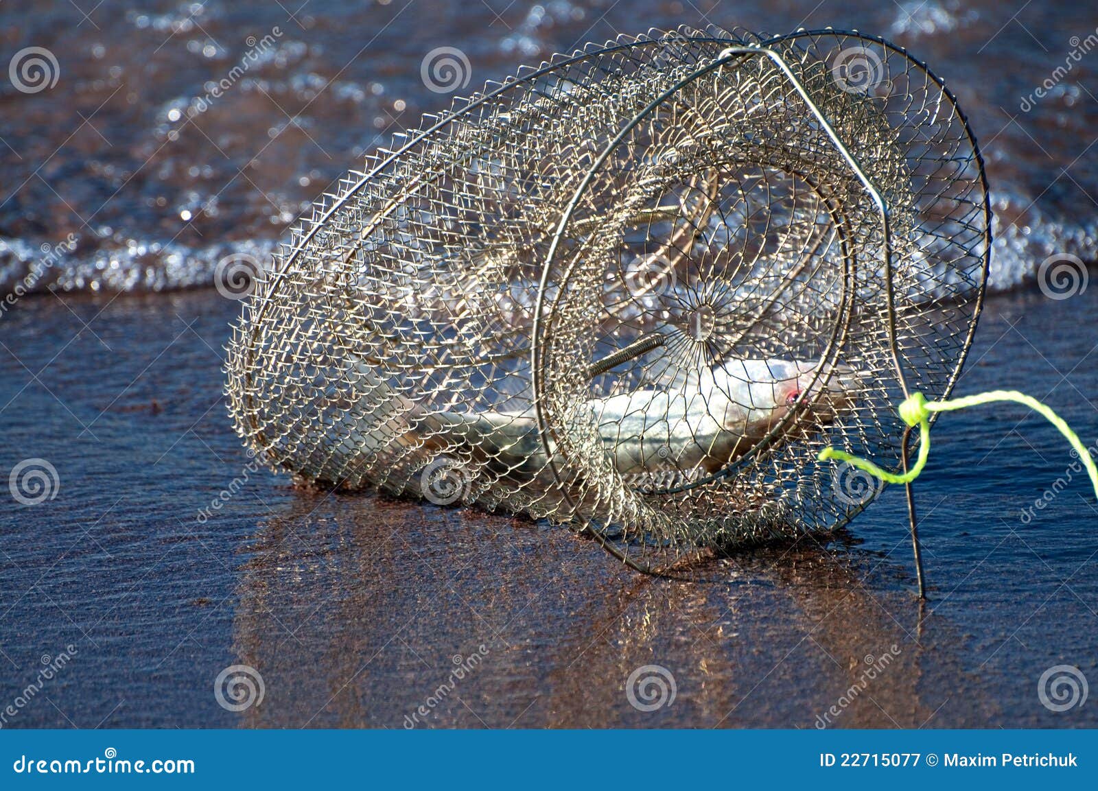 Fishing Catch Stock Photo | CartoonDealer.com #22532214