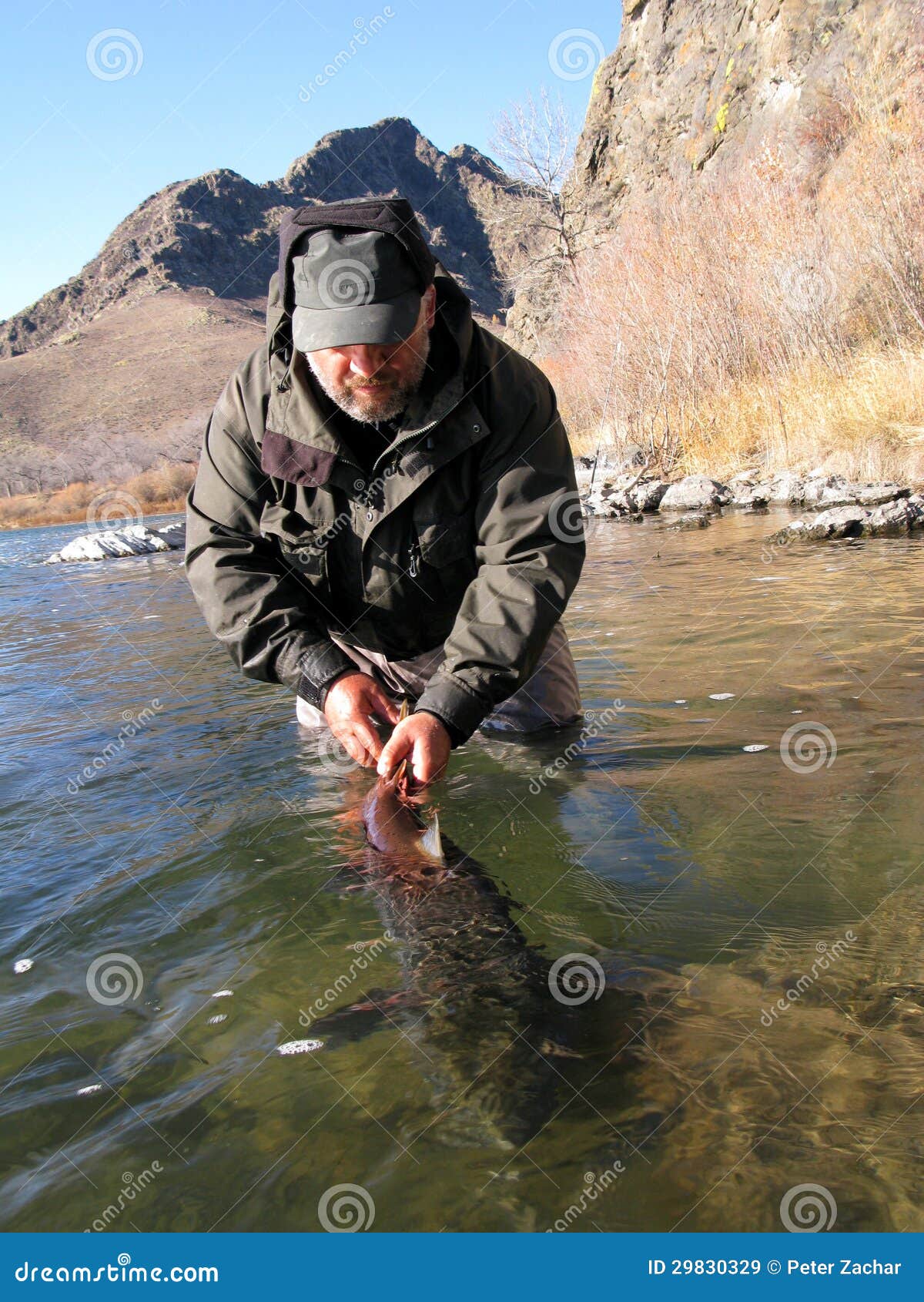Fishing catch and release stock image. Image of recreation - 29830329