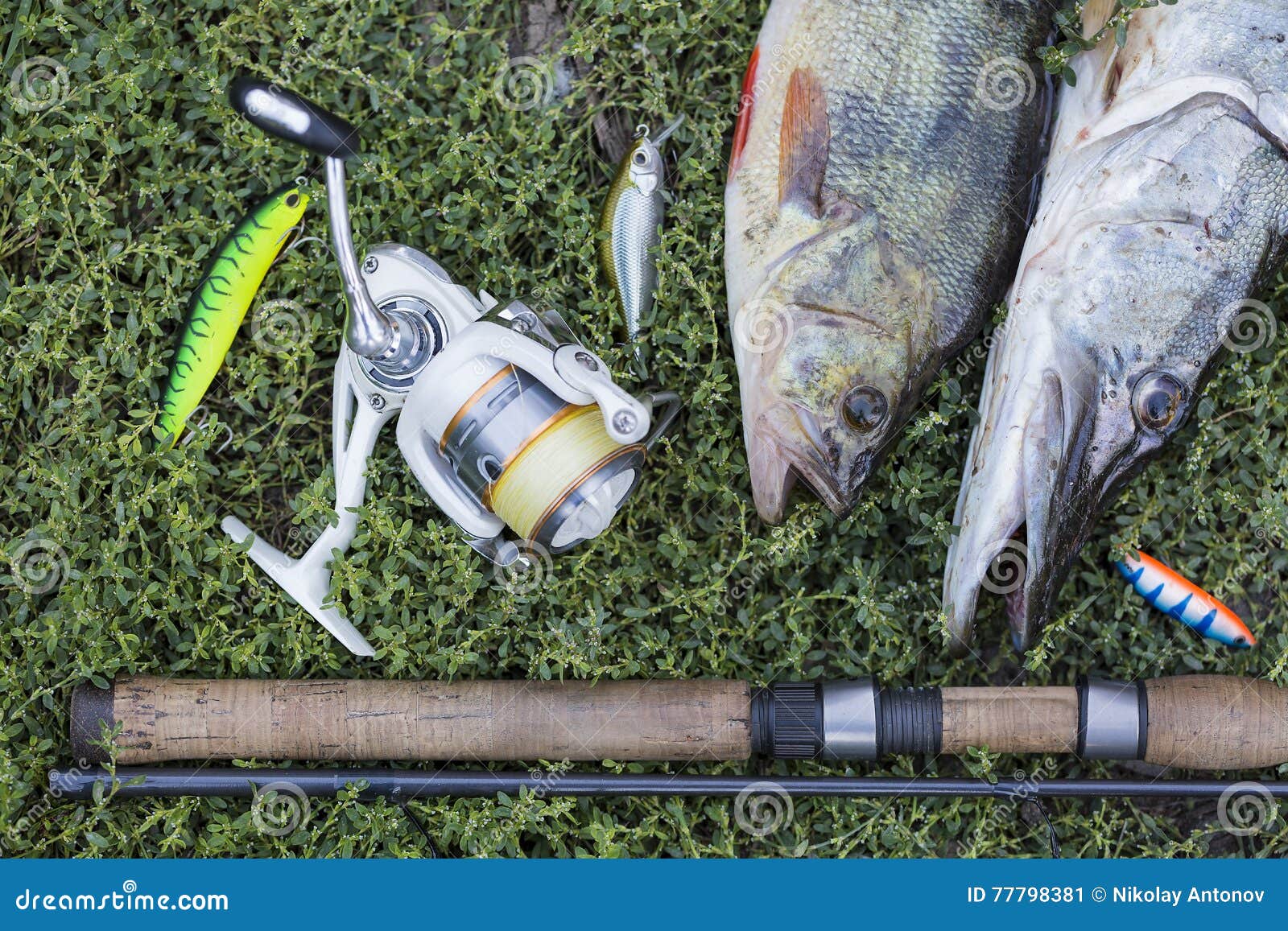Fishing Concept with Spinning Rod, Spool, Fish and Lures on Green Grass ...