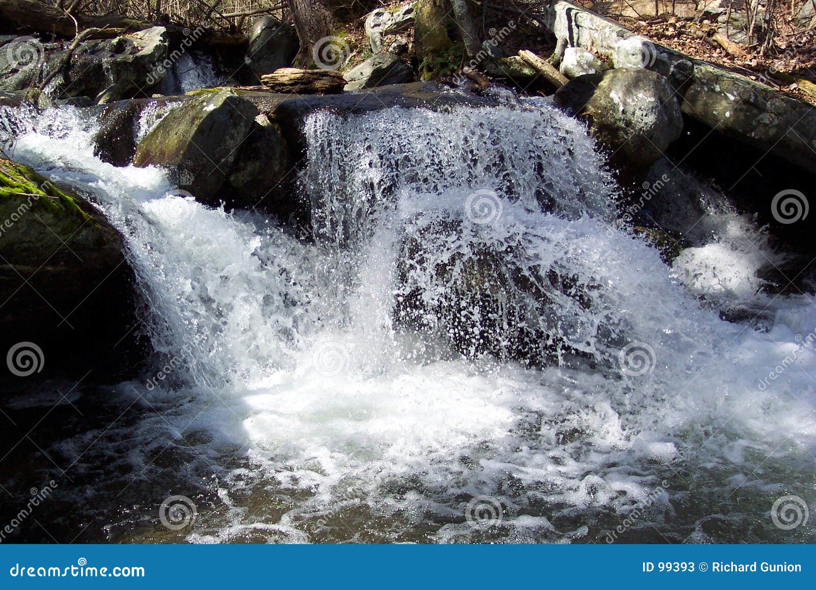 Fishing Creek Waterfall stock image. Image of sport, trout - 99393