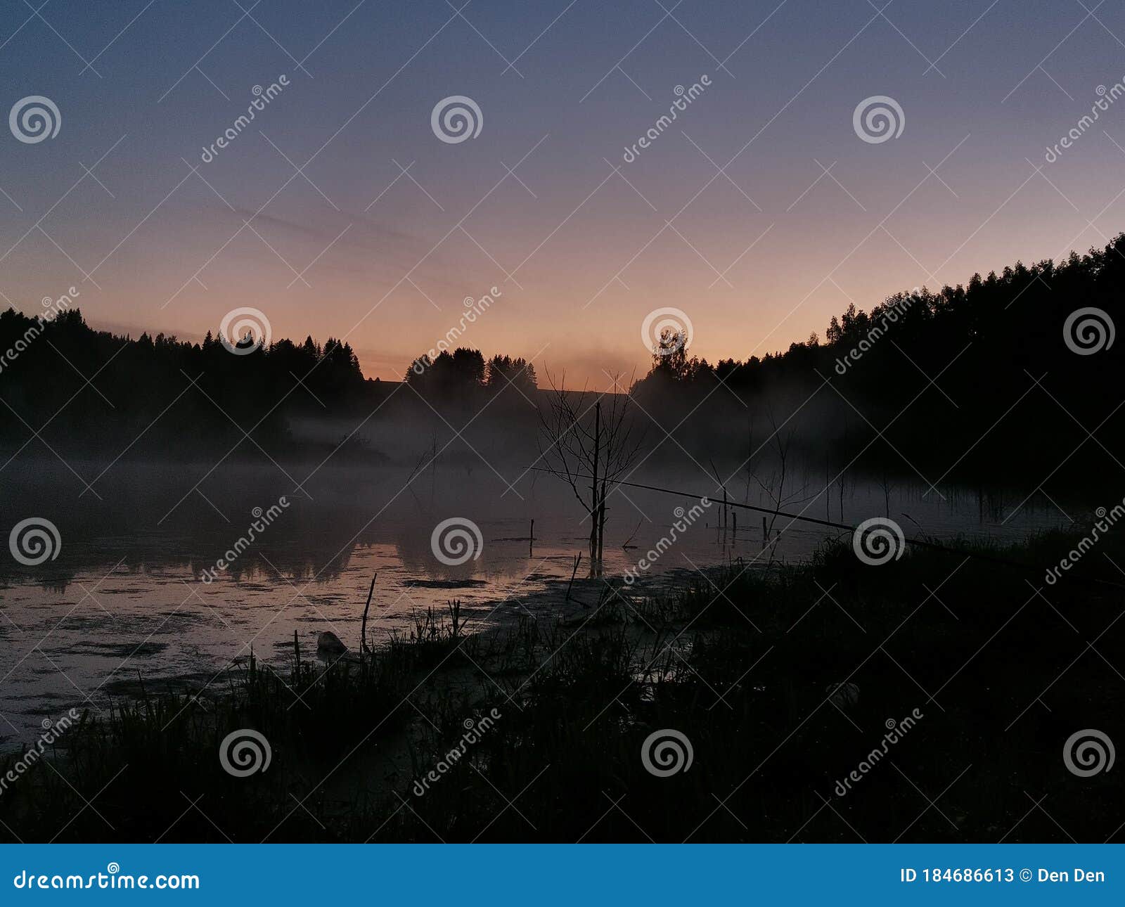 Fishing in the Early Morning Stock Image - Image of plant, morning ...