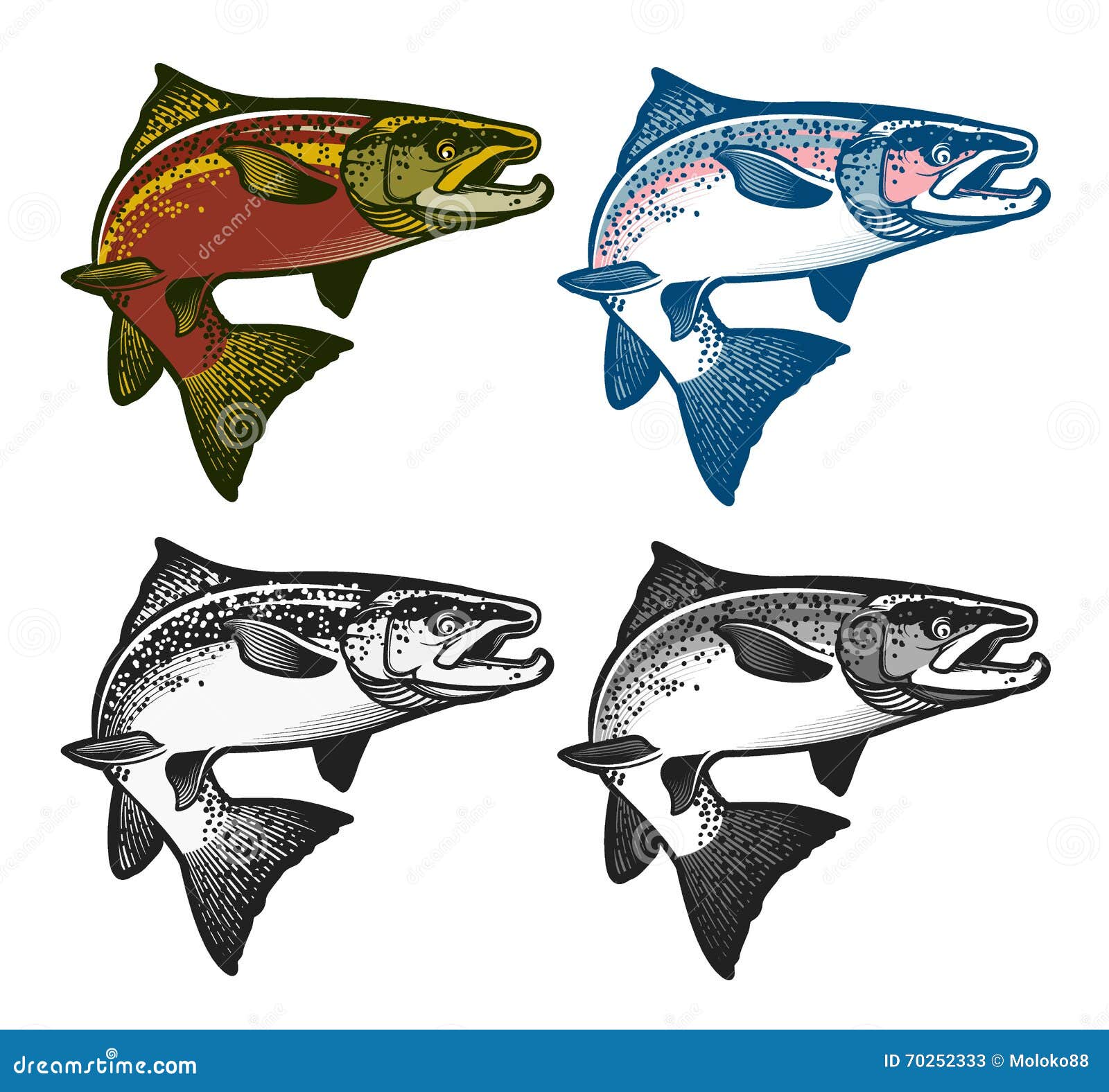Salmon Fish Hand Drawn Vector Sketch. Illustration Of Seafood. Fillet ...