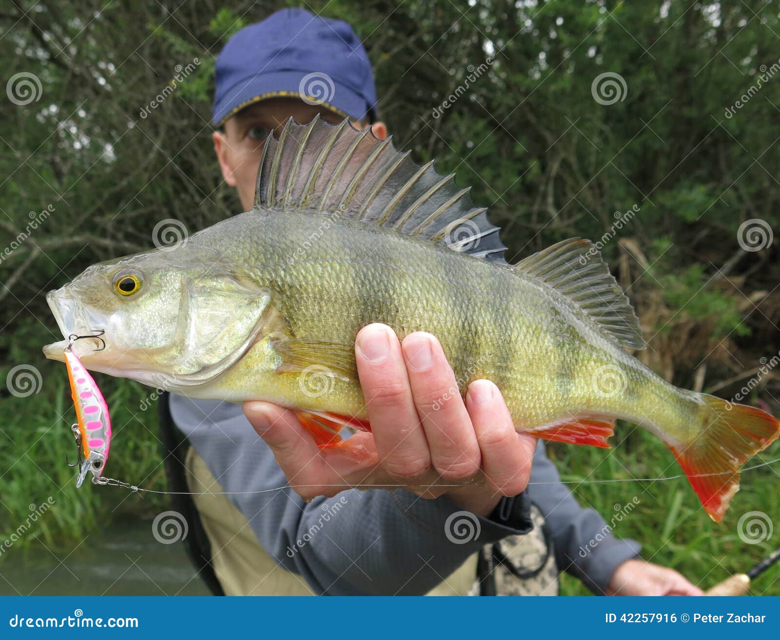 Fishing stock photo. Image of angling, catch, landscape - 42257916