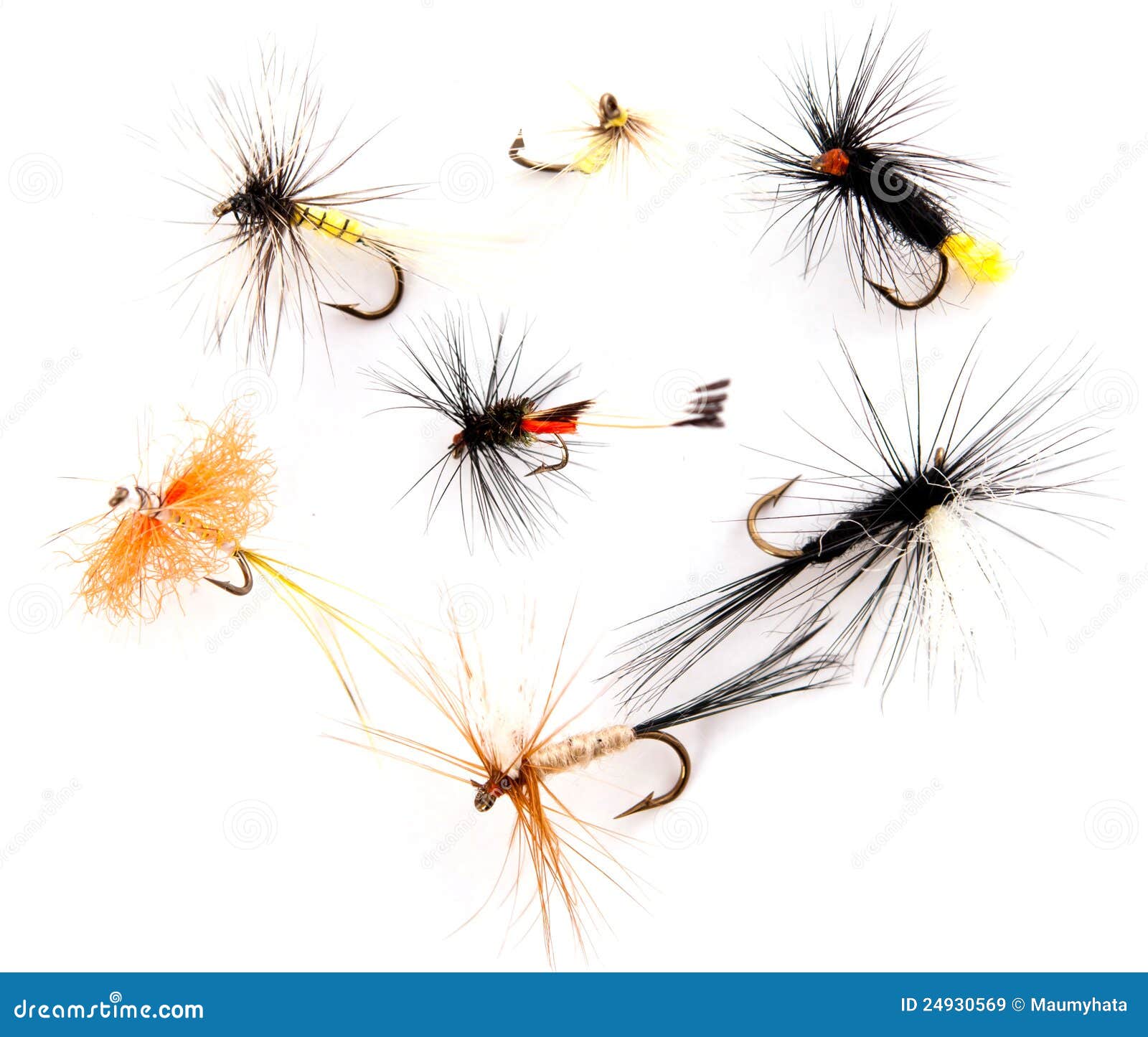 Fishing flies stock image. Image of fishing, angling - 24930569