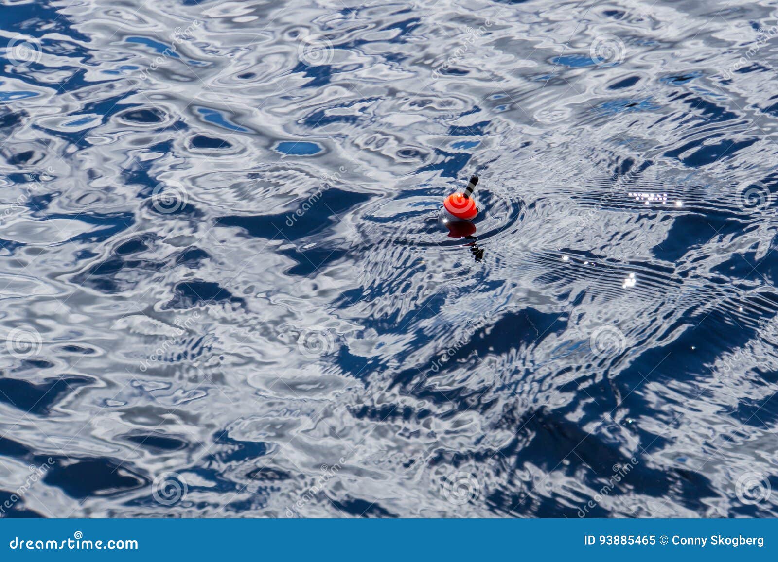 A Fishing Float Bobber Floating in the Water Surface Stock Image ...