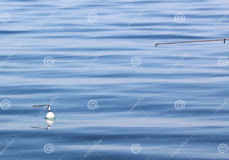Fishing Float with Dragonfly Stock Image - Image of equipment, sport ...