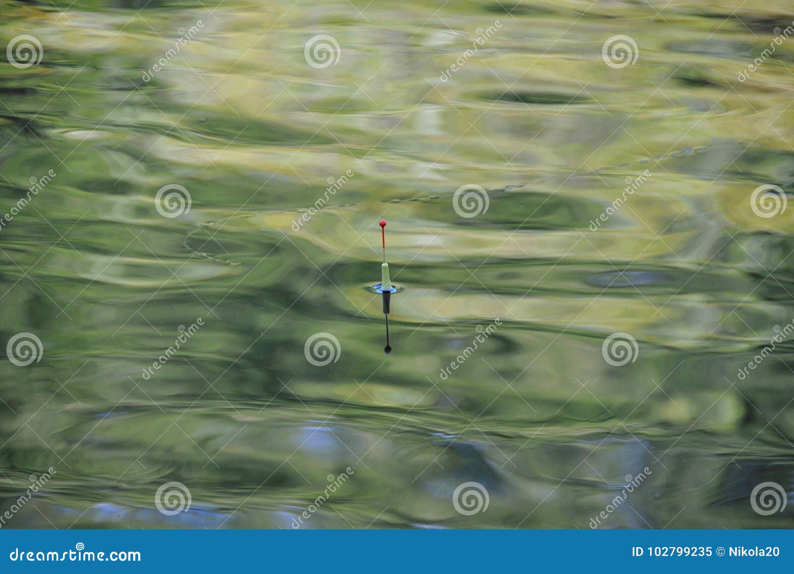 Fishing Float Floating in the Water Stock Image - Image of fish, bobber ...