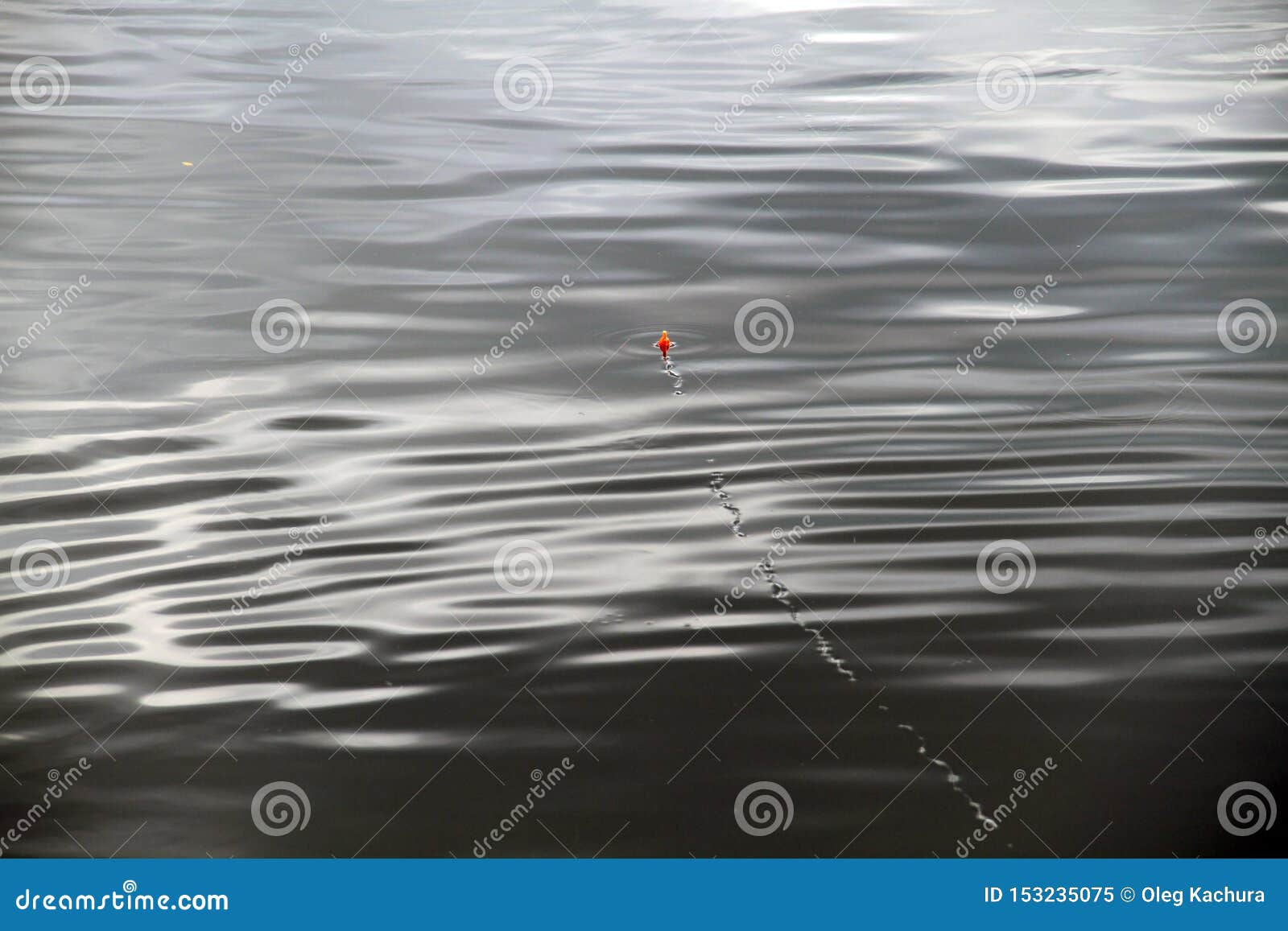 Fishing Float with Fishing Line Lying on the Surface of the Water Stock ...