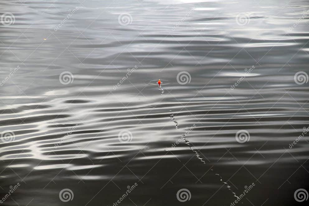 Fishing Float with Fishing Line Lying on the Surface of the Water Stock ...