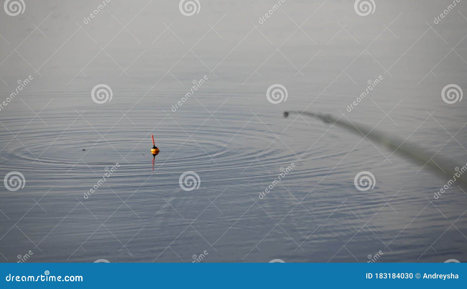 Fishing with a Float Rod on the Water. Stock Photo - Image of relax ...