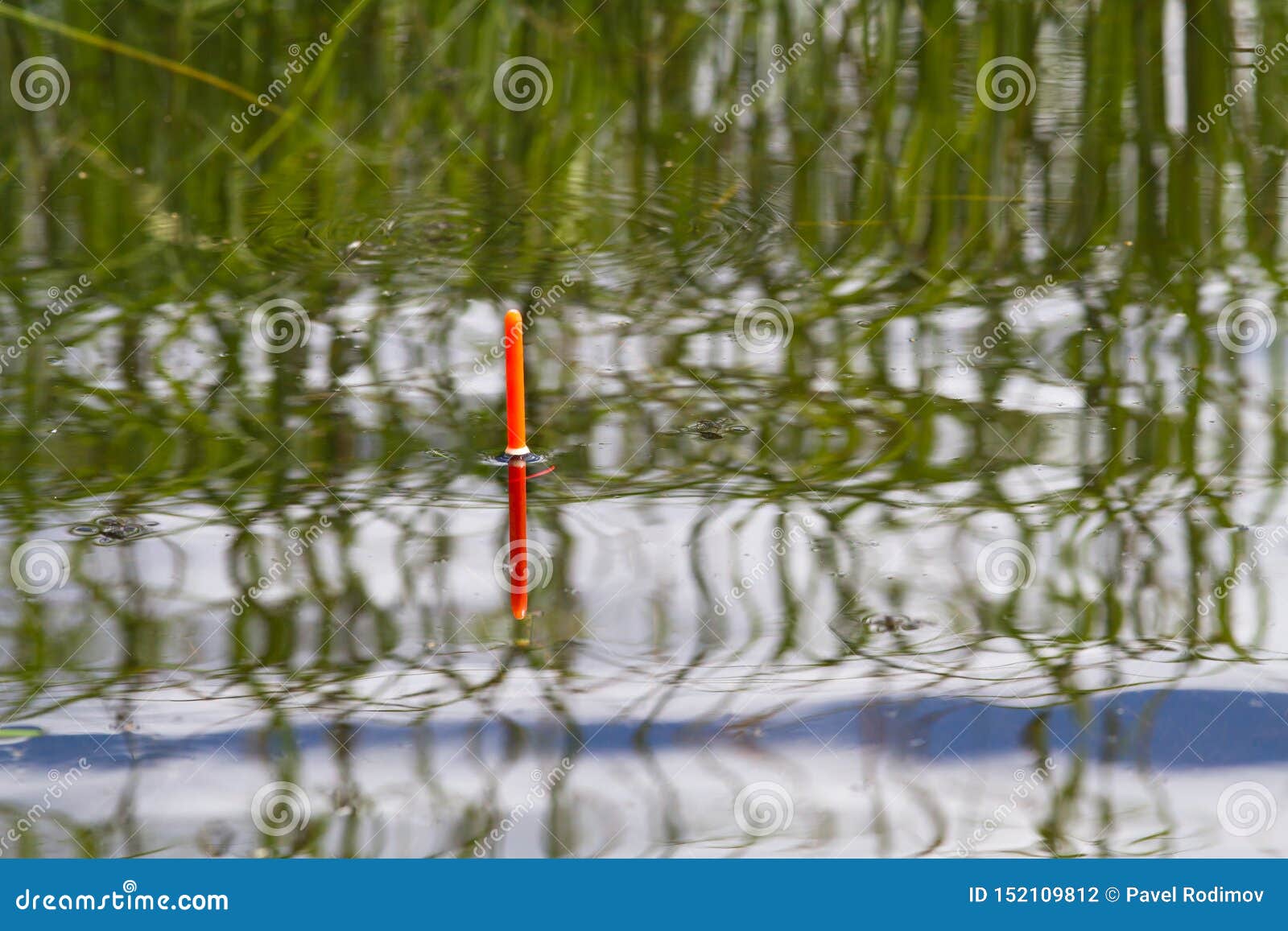 The Fishing Float Sits Vertically in Calm Water Stock Photo - Image of ...