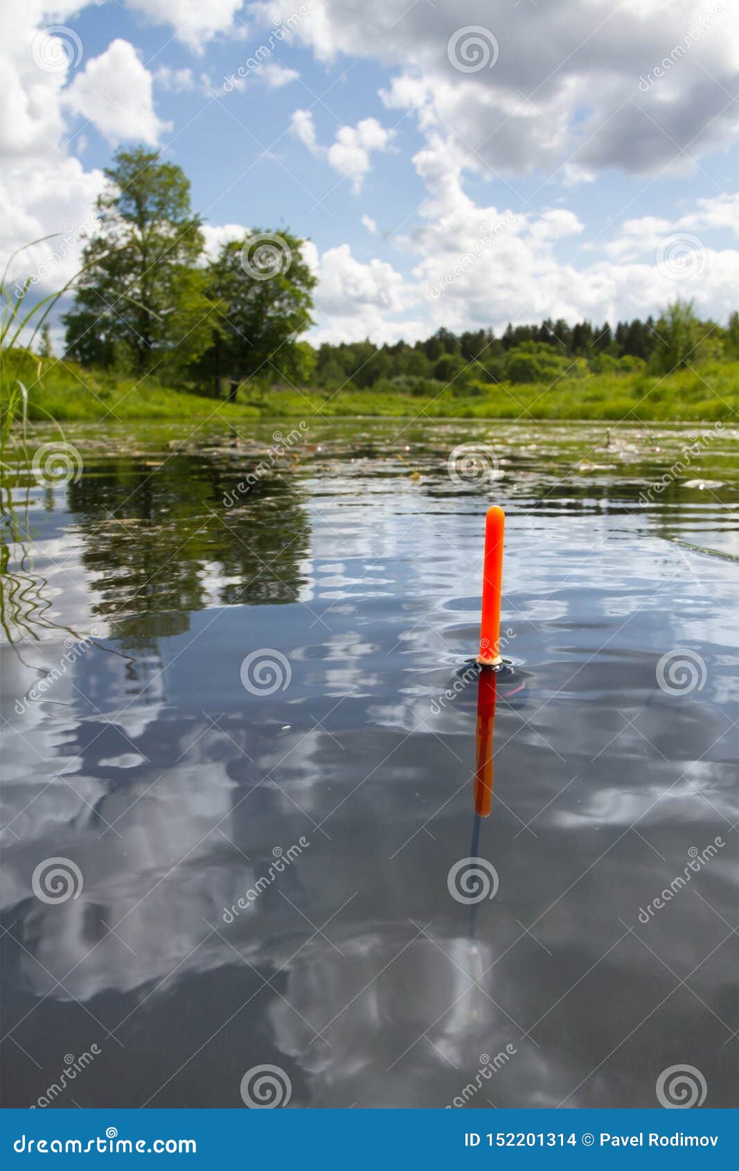 The Fishing Float Sits Vertically in the Water of a Calm Lake Stock ...