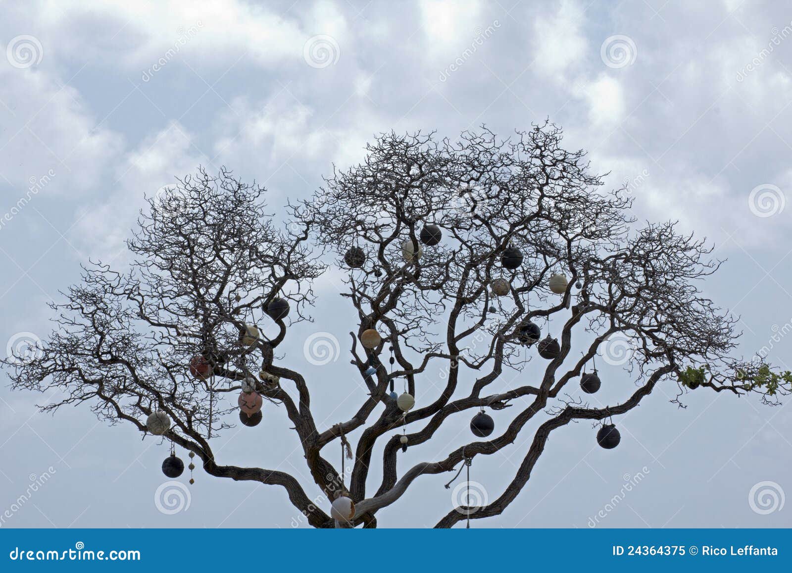 Fishing float tree stock image. Image of bare, seaside - 24364375