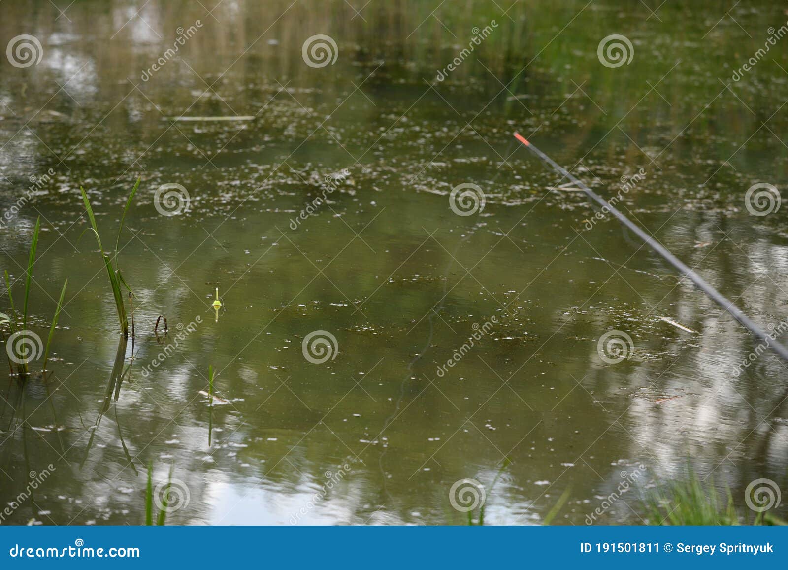 Fishing Float on the Water. Fishing with a Float Rod Stock Image ...