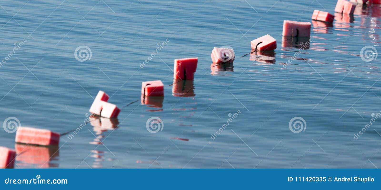 Fishing Floats on the Surface of the Water Stock Image - Image of ...
