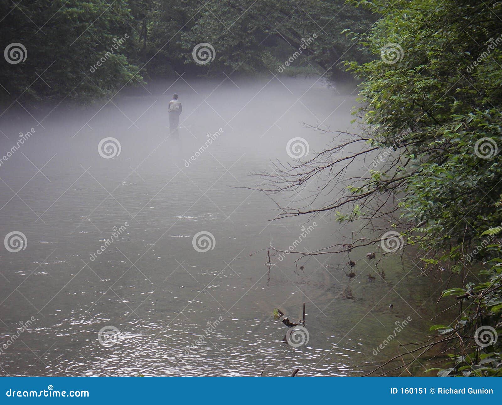 Fishing in the Fog stock image. Image of trout, water, wild - 160151
