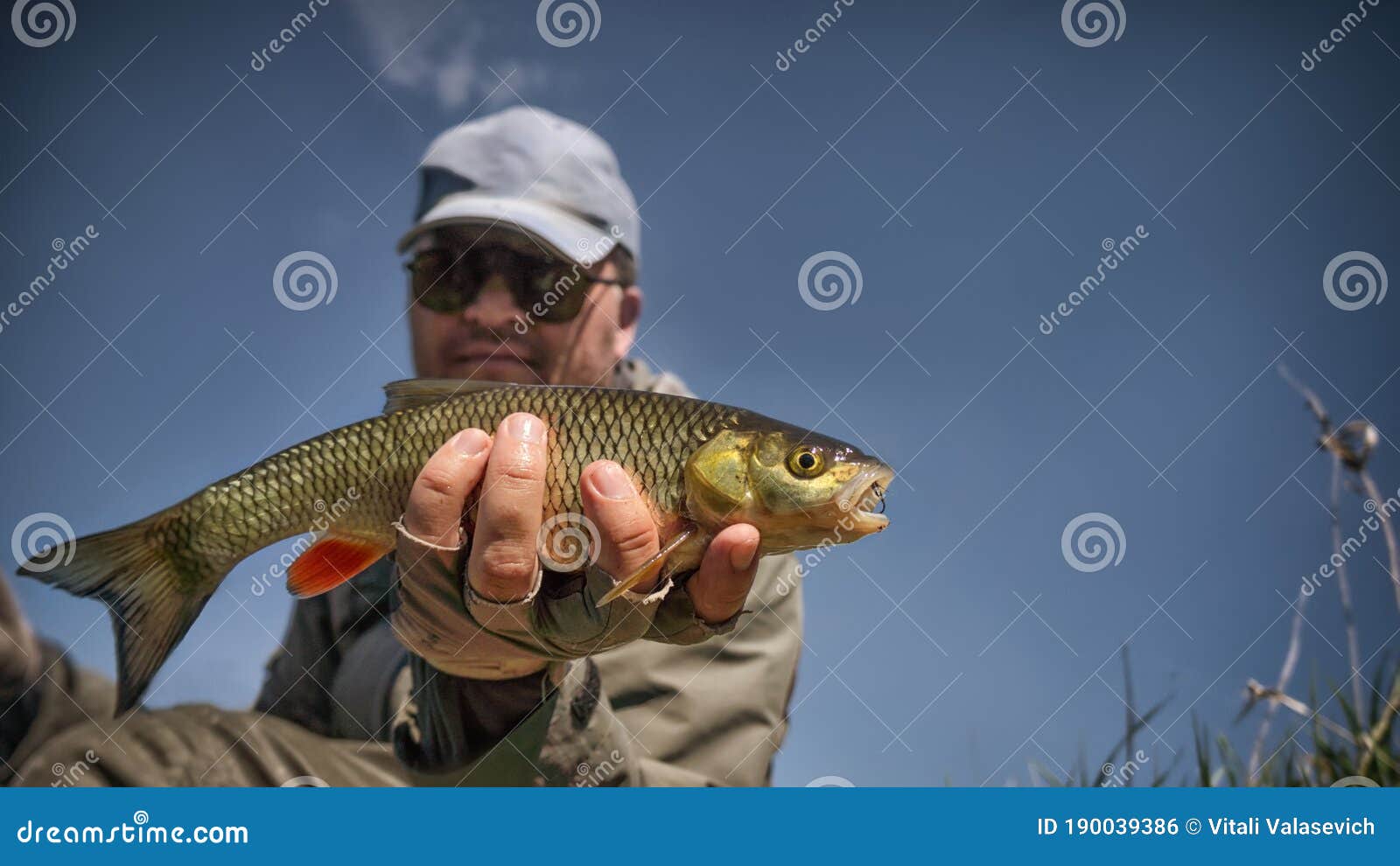 Fishing. Happy Angler with Fish Stock Photo - Image of trophy, adult ...