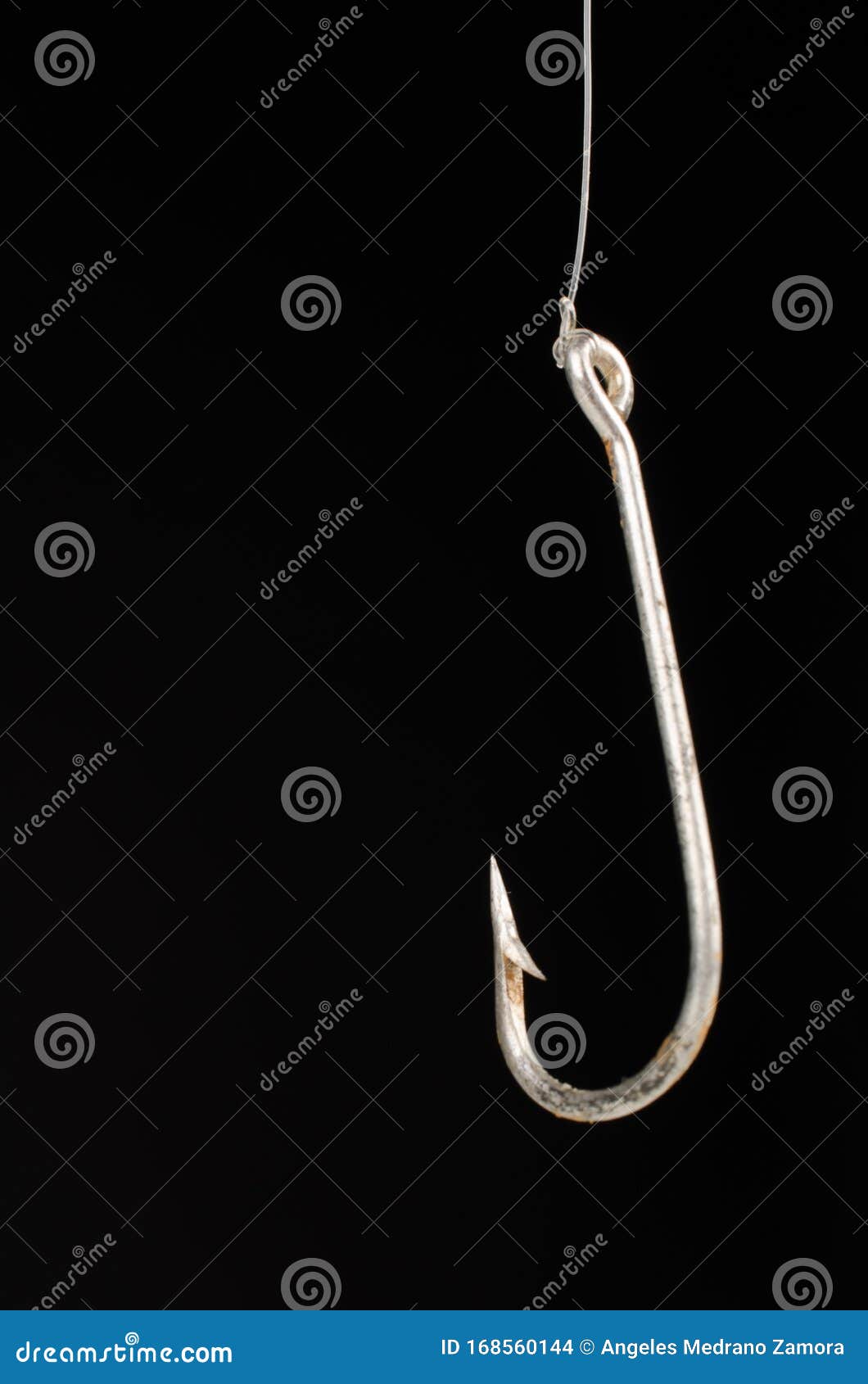 Fishing hook stock photo. Image of shot, vertical, temptation - 168560144