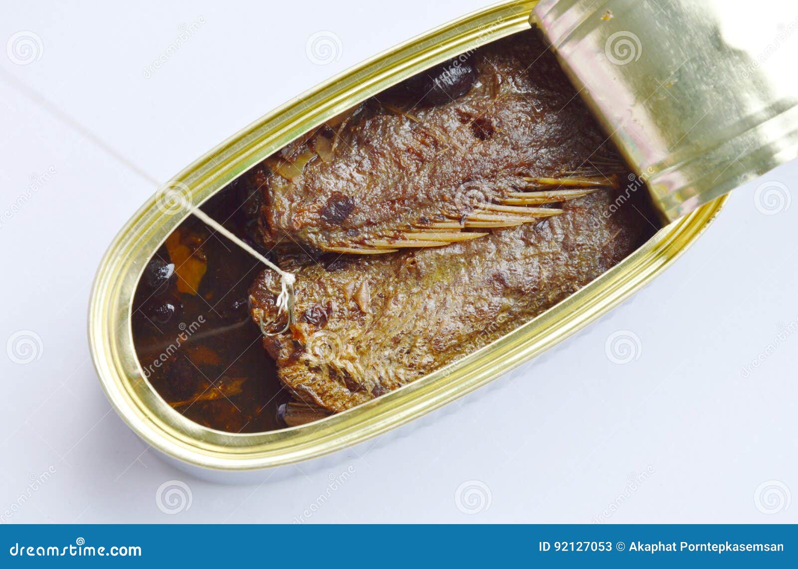 Fishing Hook and Net Catch Salt Fried Fish in Tin Canned on White ...