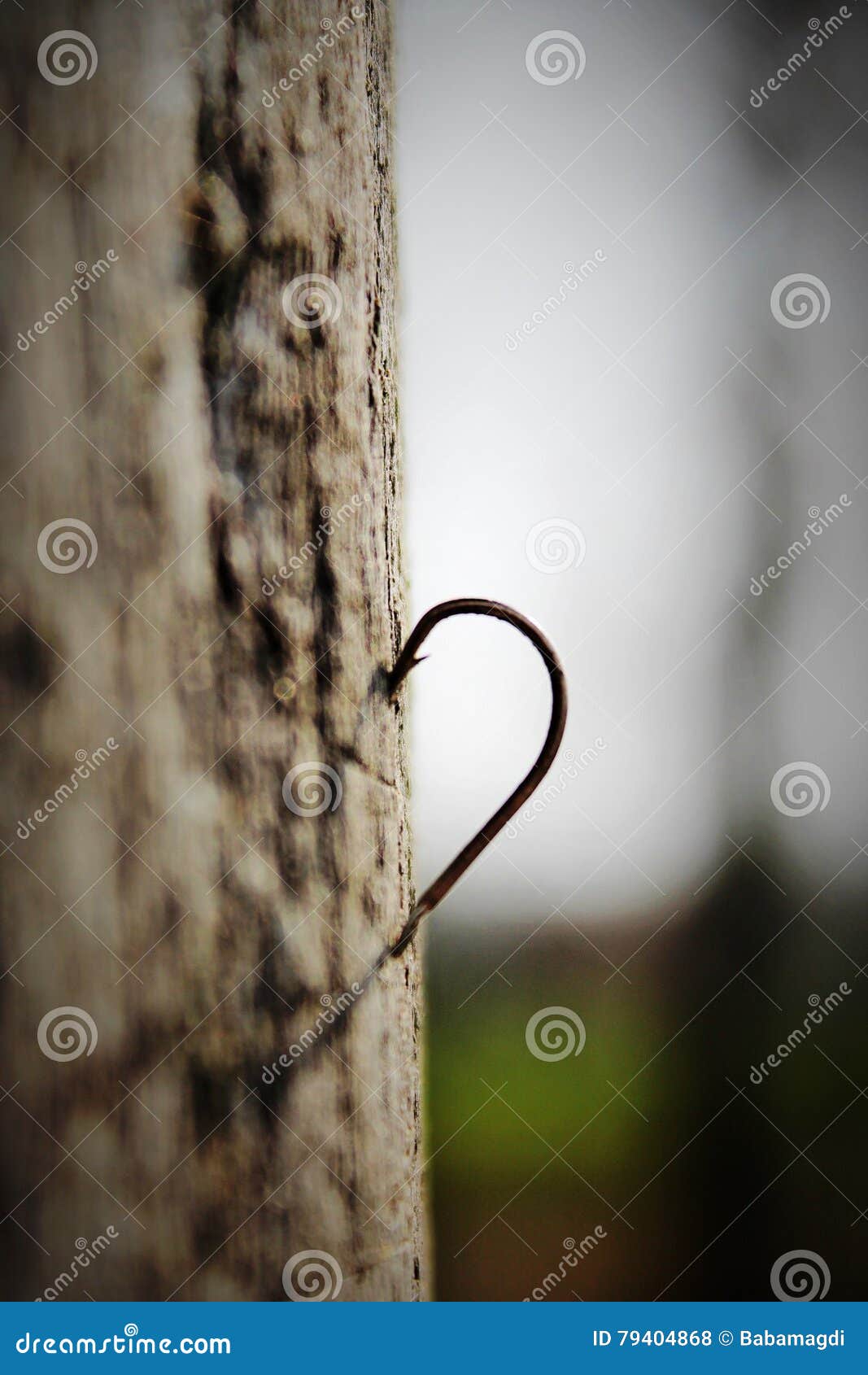 Fishing hook stock photo. Image of tool, sport, fishing - 79404868