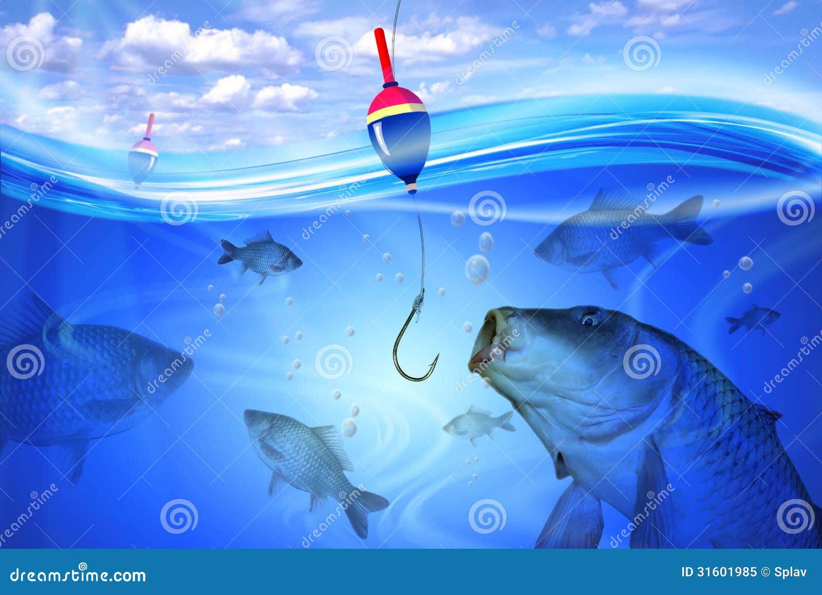 Fishing in lake stock image. Image of activity, natural - 31601985