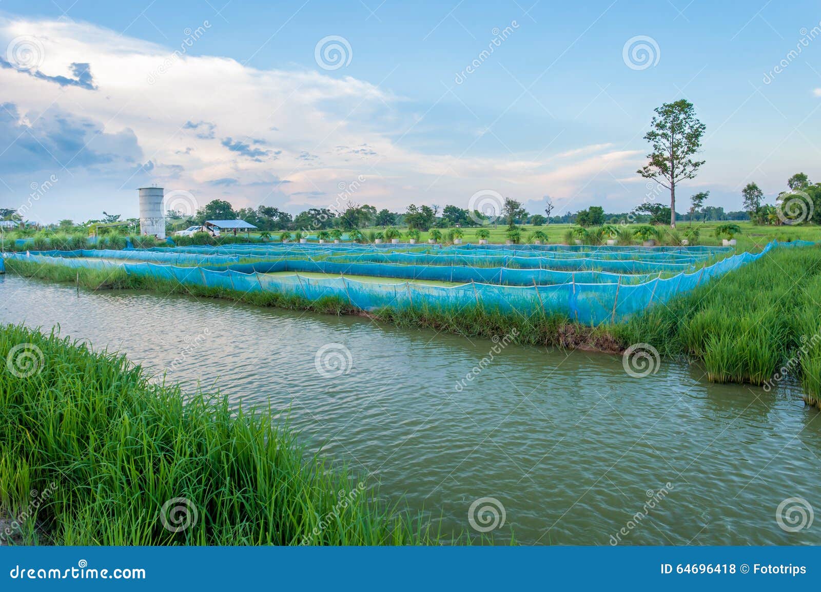 Fishing on lake stock photo. Image of scenic, fish, asia - 64696418