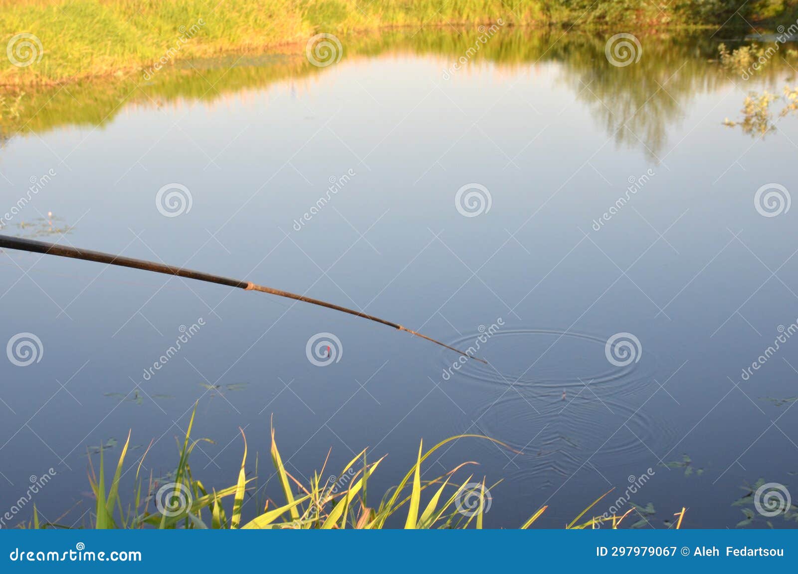 Fishing on the Lake. Fishing Rod. Stock Image - Image of equipment ...
