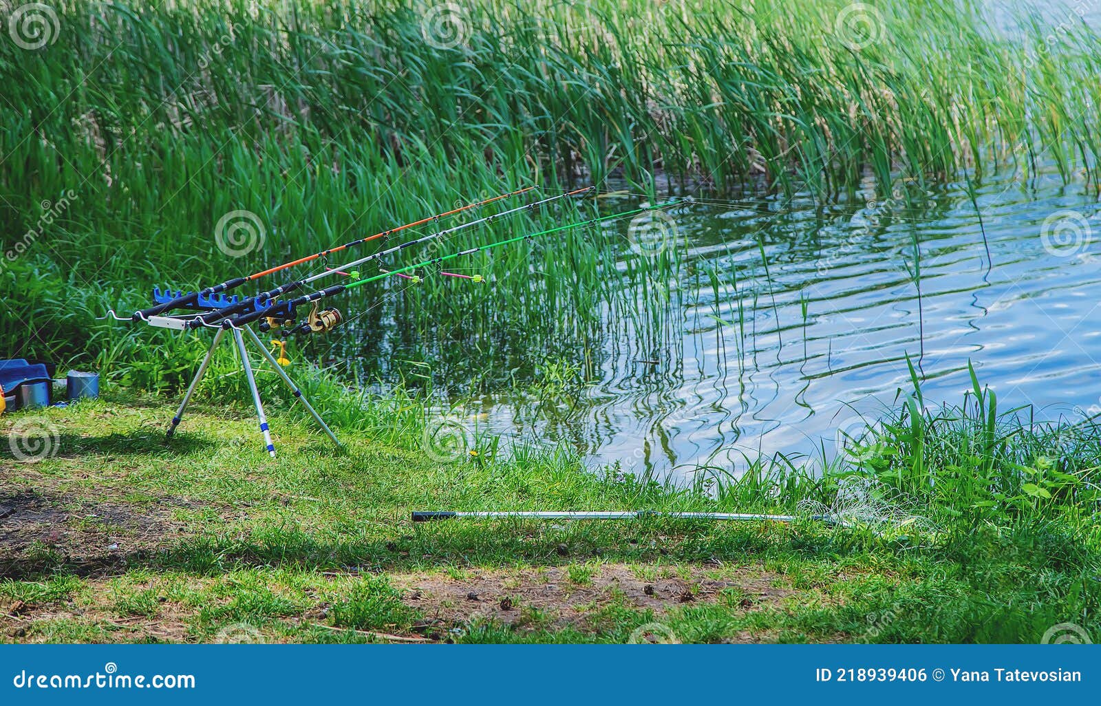 Fishing on the Lake. Selective Focus. Fishing Rods Stock Photo - Image ...