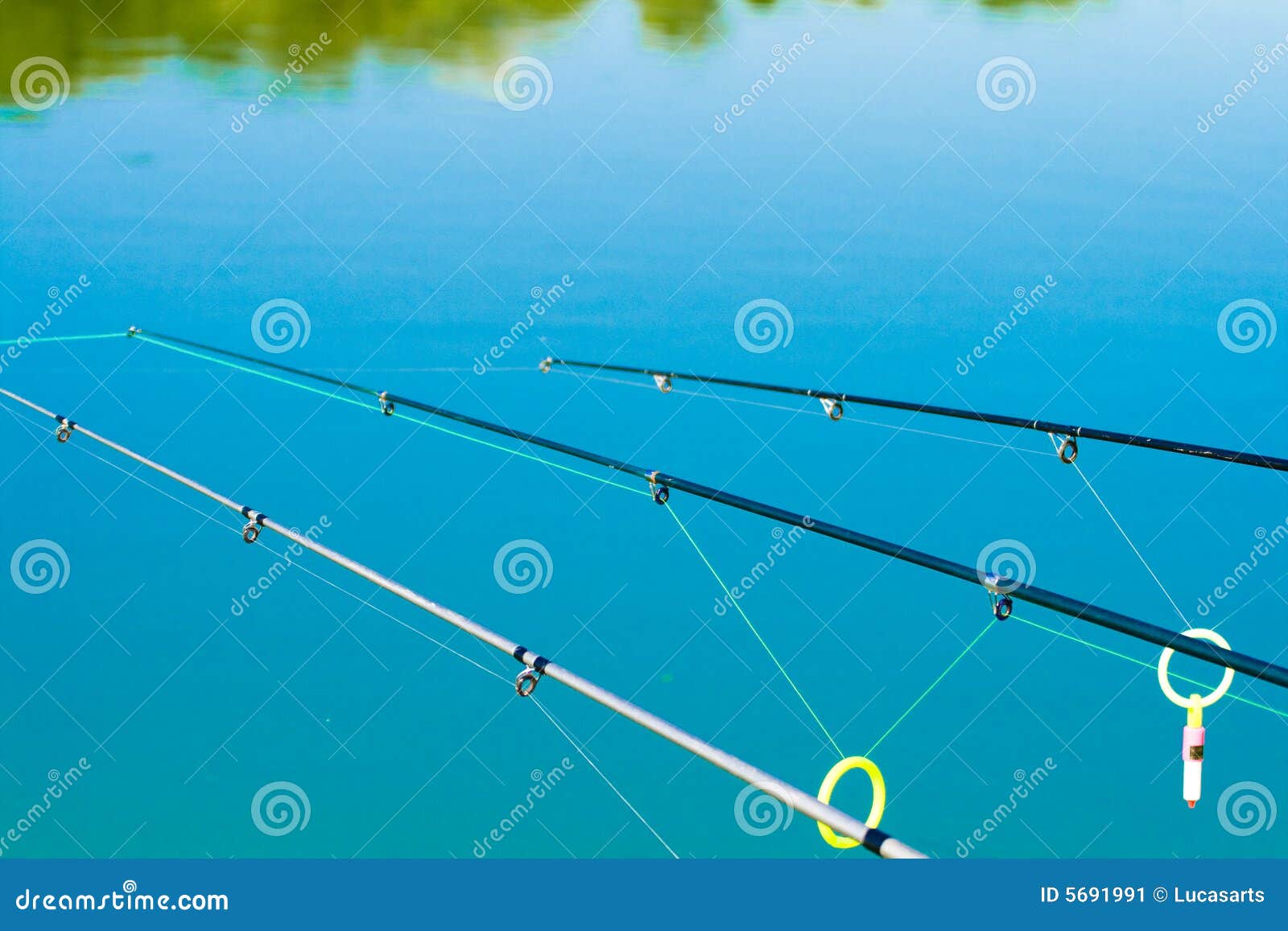 3,596 Fishing Lines Stock Photos - Free & Royalty-Free Stock Photos ...