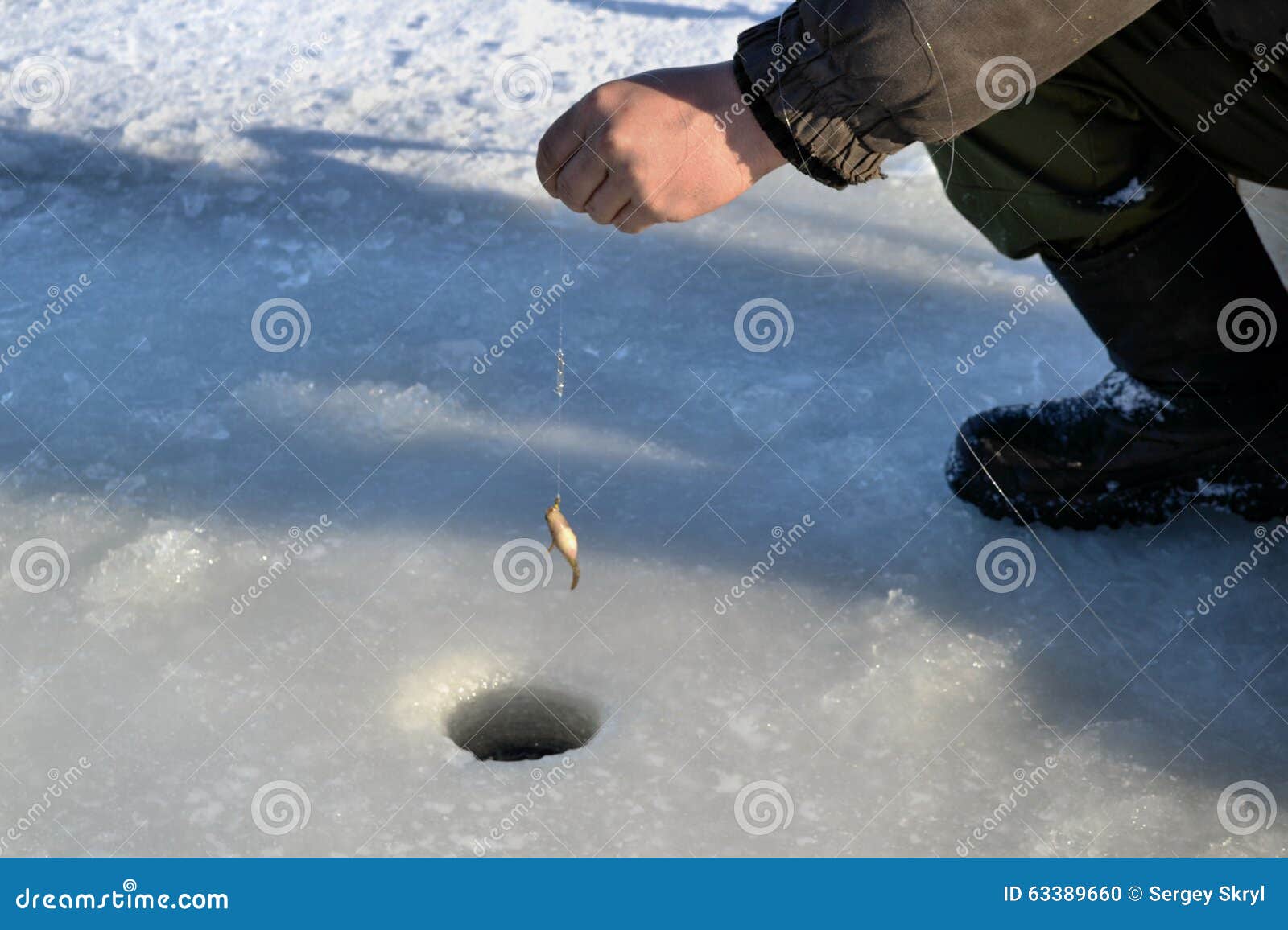 Fishing for live bait stock photo. Image of body, fisherman - 63389660