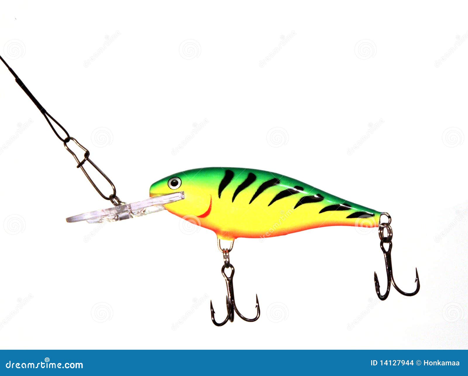 Fishing Lure Hanging From A Pine Tree Branch; Not Your Typical Pine ...