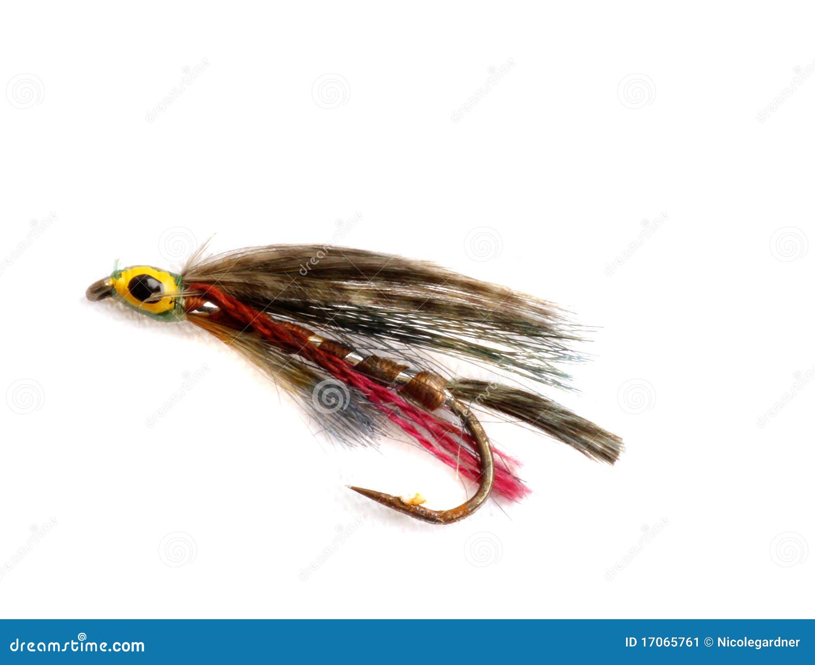 Fishing Lure Hanging From A Pine Tree Branch; Not Your Typical Pine ...