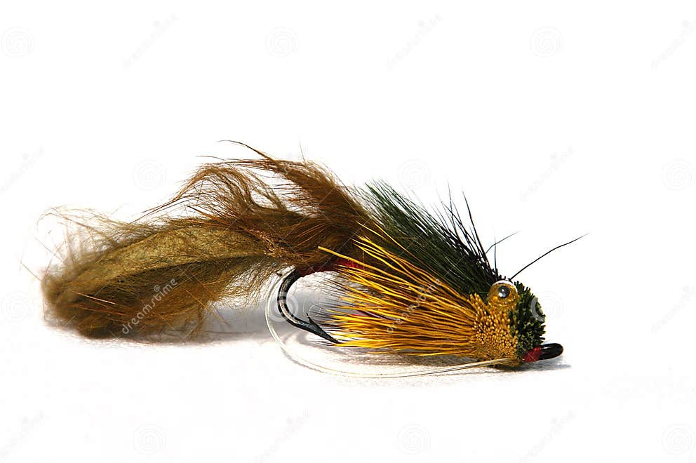 Fishing Lure stock image. Image of lures, stream, nature - 30469