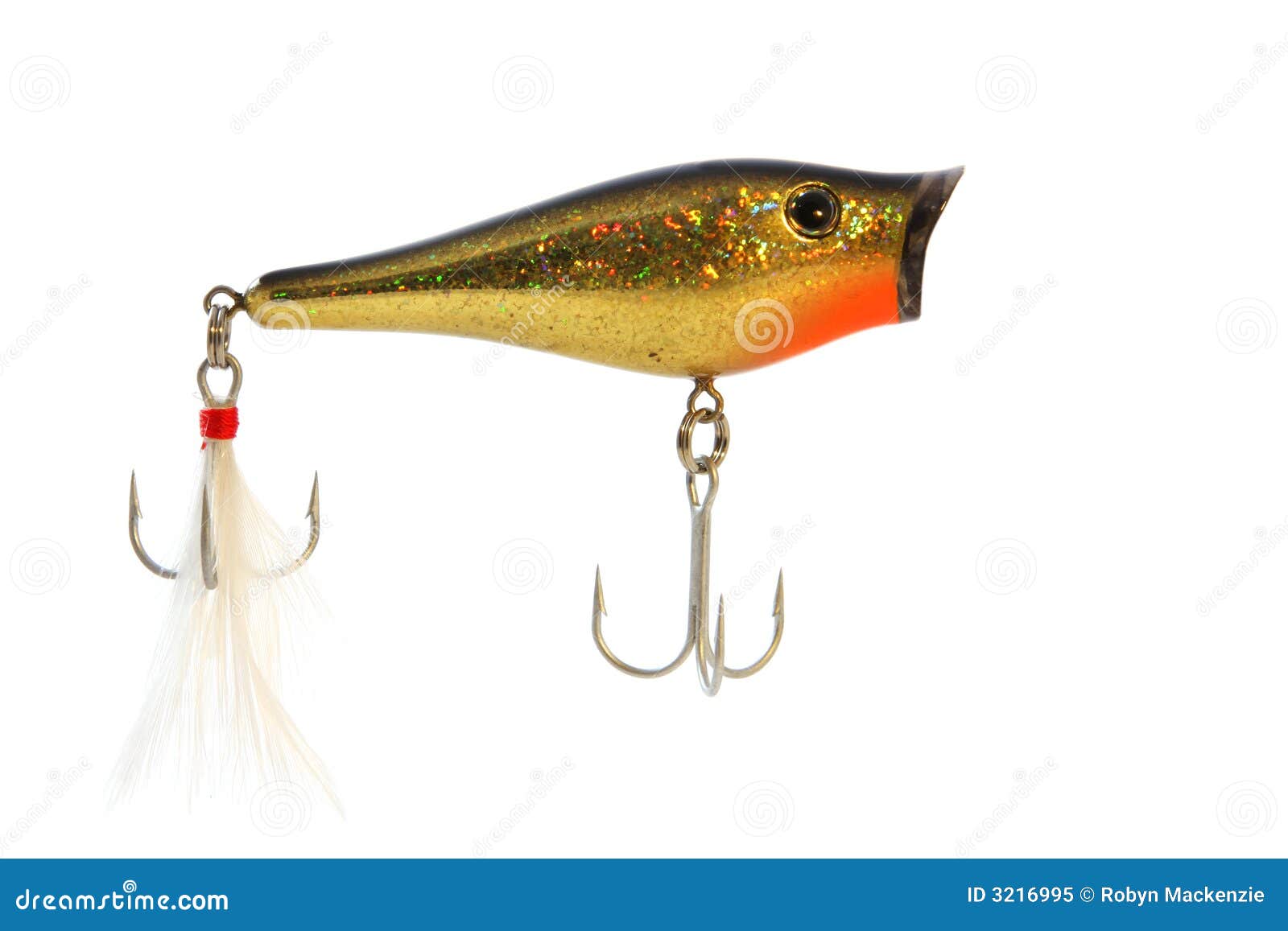 Fishing Lure Hanging From A Pine Tree Branch; Not Your Typical Pine ...