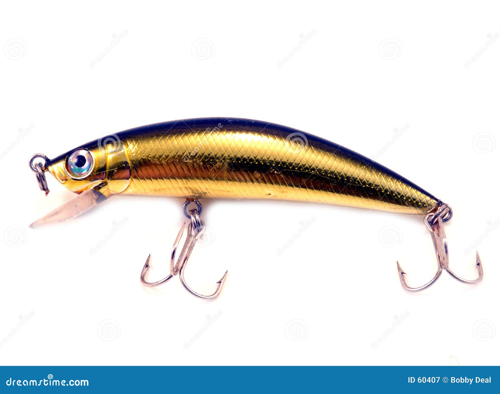 Fishing Lure stock image. Image of fishing, rapala, krockidile - 60407