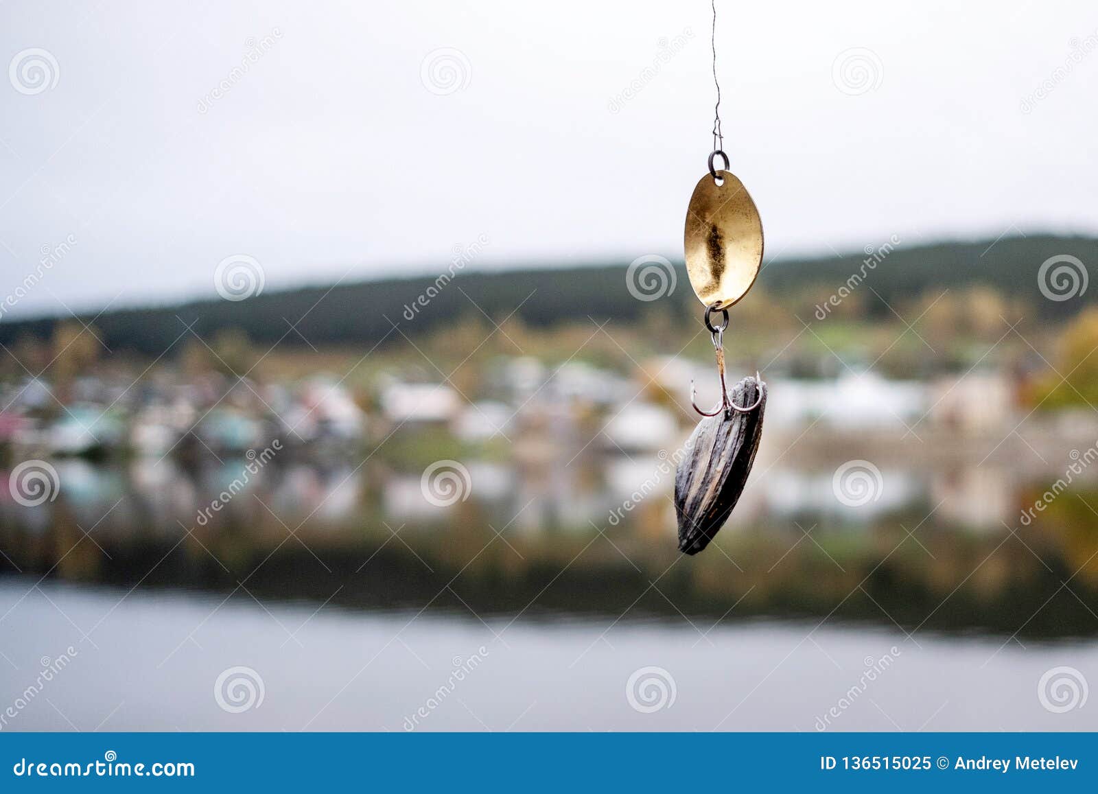 Fishing Lure Caught Pearl Barley instead of Fish Stock Image - Image of ...