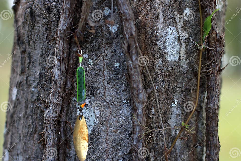 Fishing Lure Hanging in Tree Stock Image - Image of environment ...