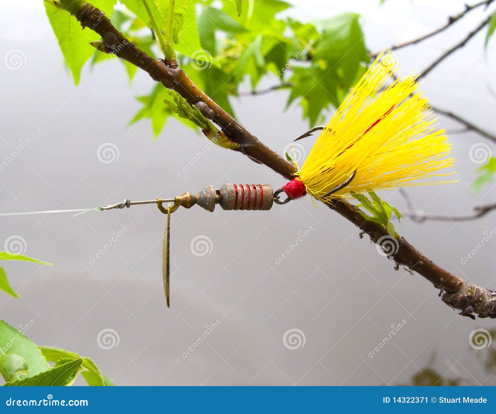 Fishing lure stuck in tree stock image. Image of pond - 14322371