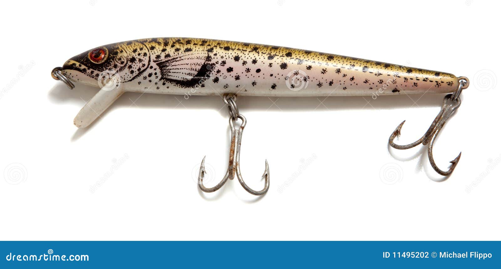 Fishing Lure Hanging From A Pine Tree Branch; Not Your Typical Pine ...