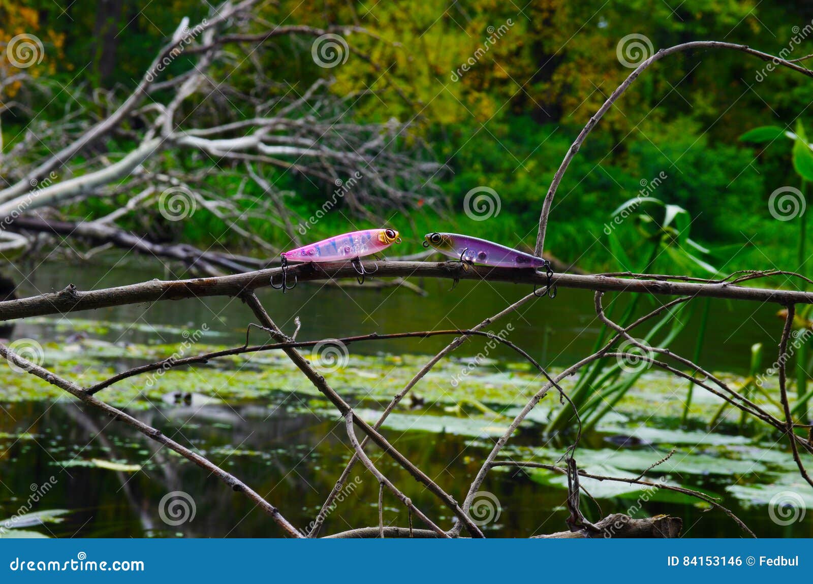 Fishing lures stock photo. Image of group, hook, accessory - 84153146
