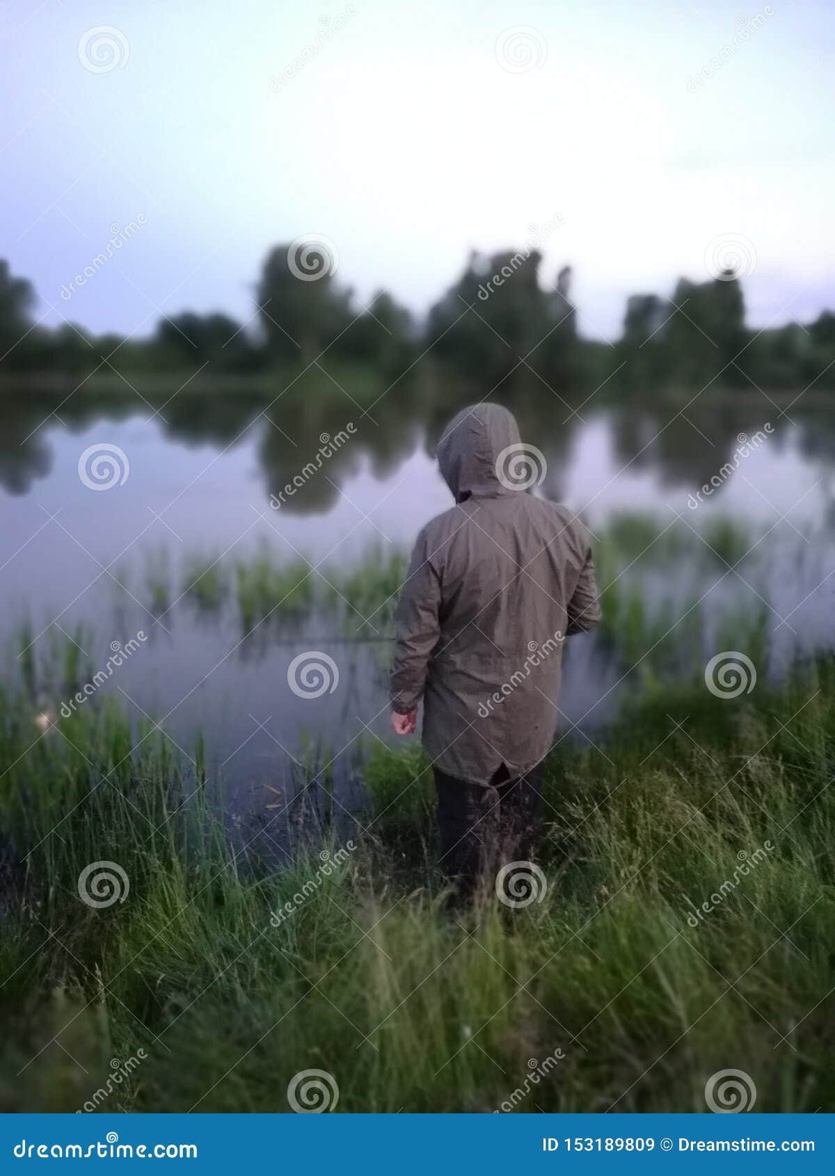 Fishing stock image. Image of nature, tree, fish, fishingrod - 153189809