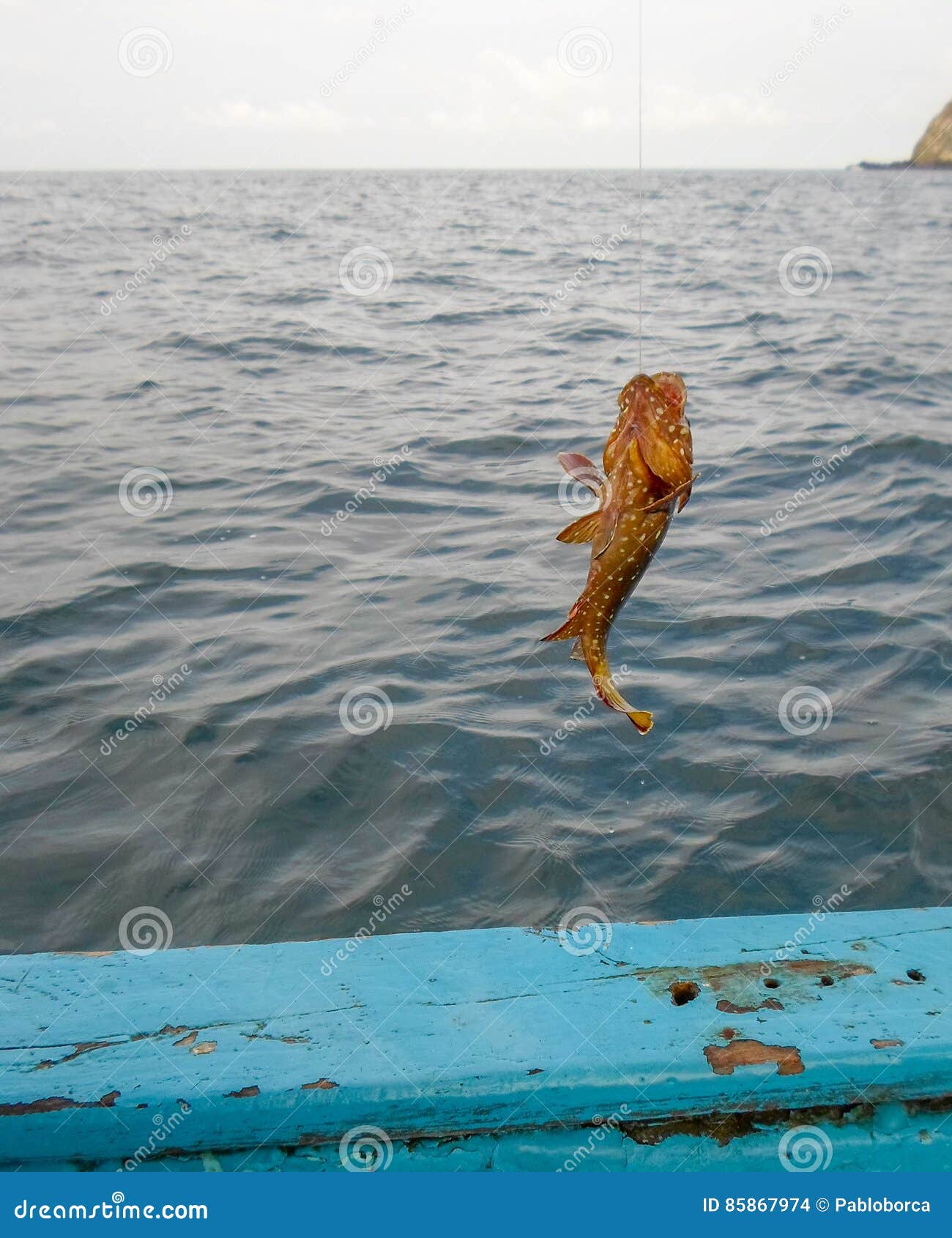 Fishing a Mero grouper stock photo. Image of mero, recreation - 85867974