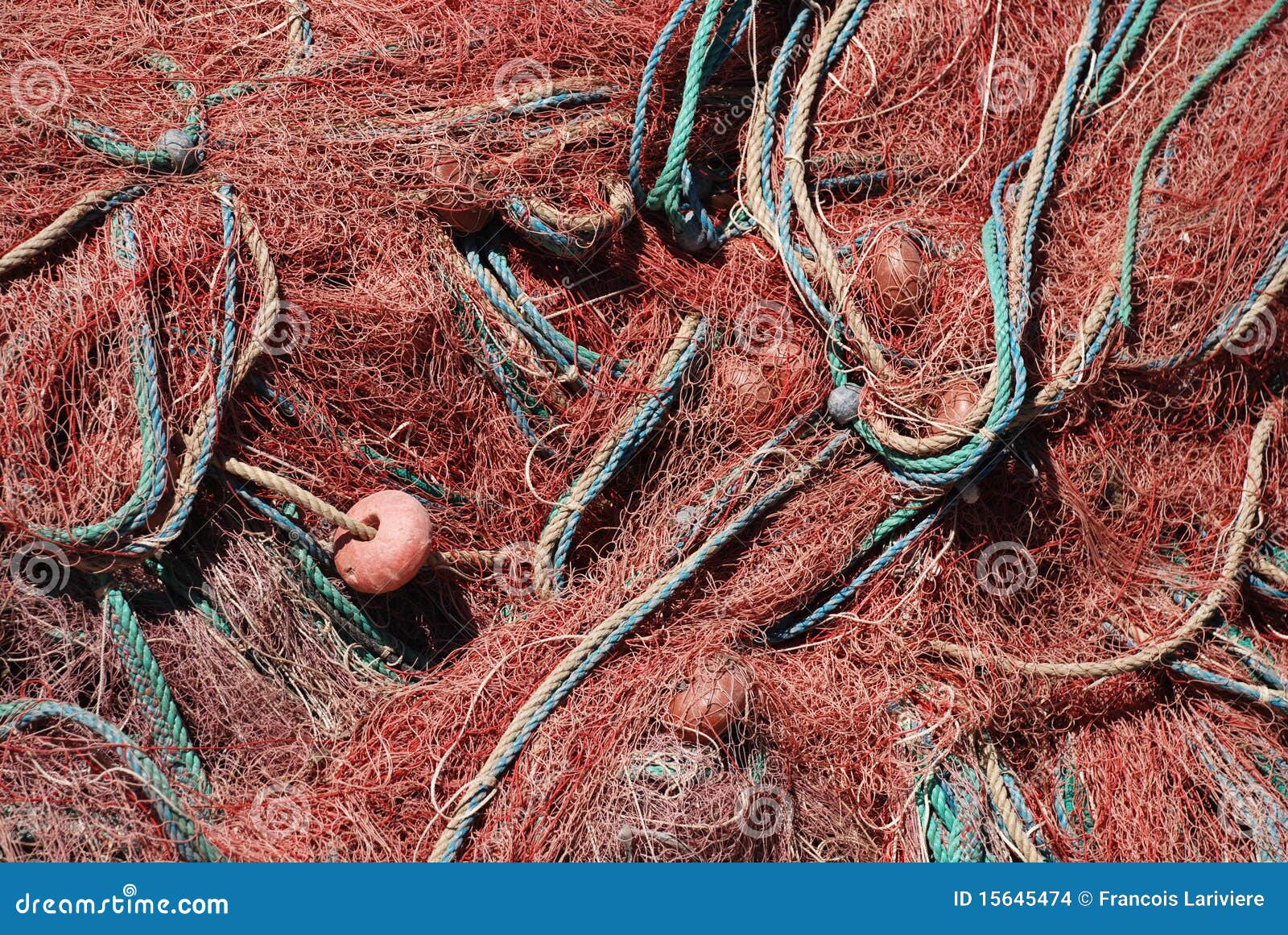 Fishing Net stock photo. Image of fisherman, water, grid - 15645474